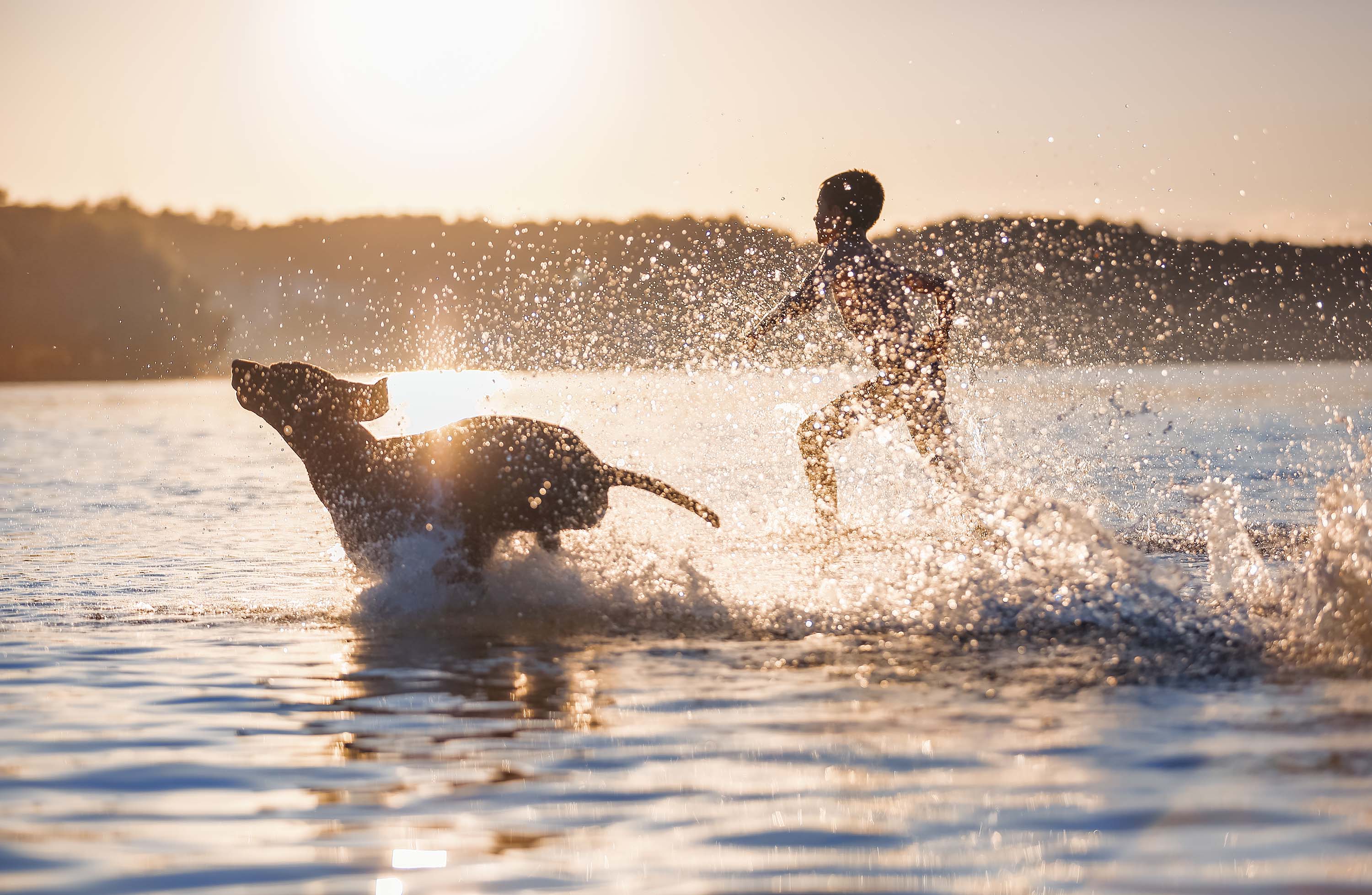 Lake Dog and Their People – Lake Dog and their people